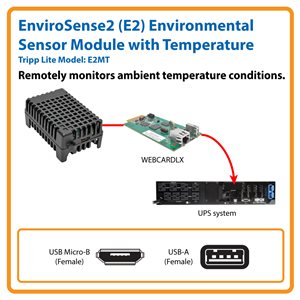 Tripp Lite Environmental Sensor Module w/ Temperature Monitoring ...